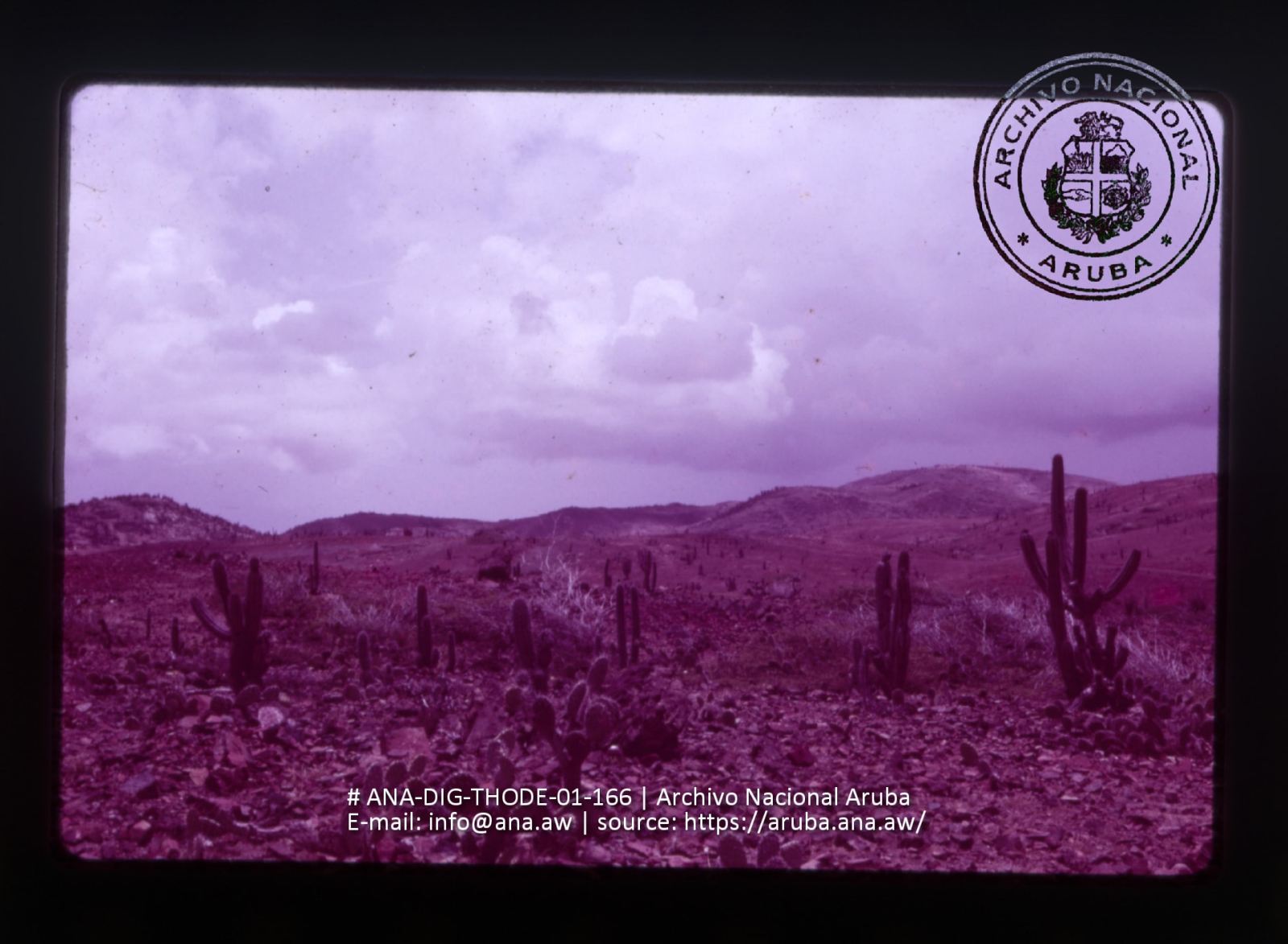 Fotocollectie Thode, serie 1 potret # 166 - - Coleccion Aruba