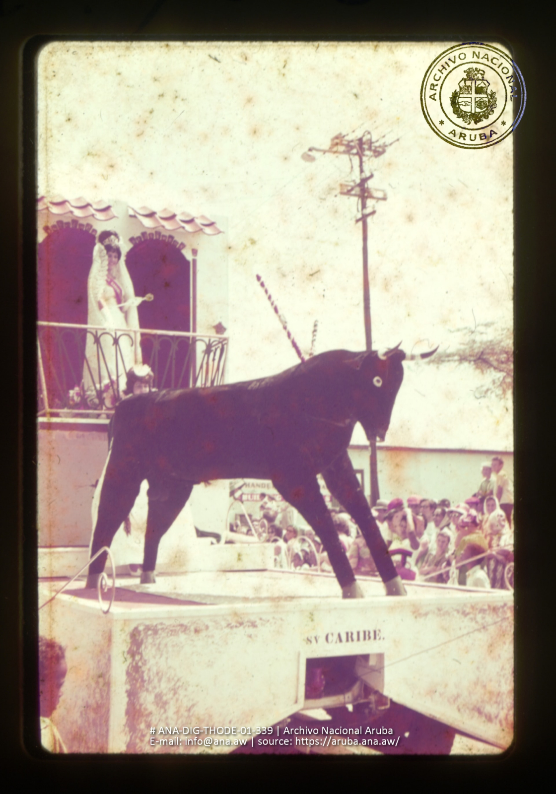 Fotocollectie Thode, serie 1 potret # 339 - - Coleccion Aruba