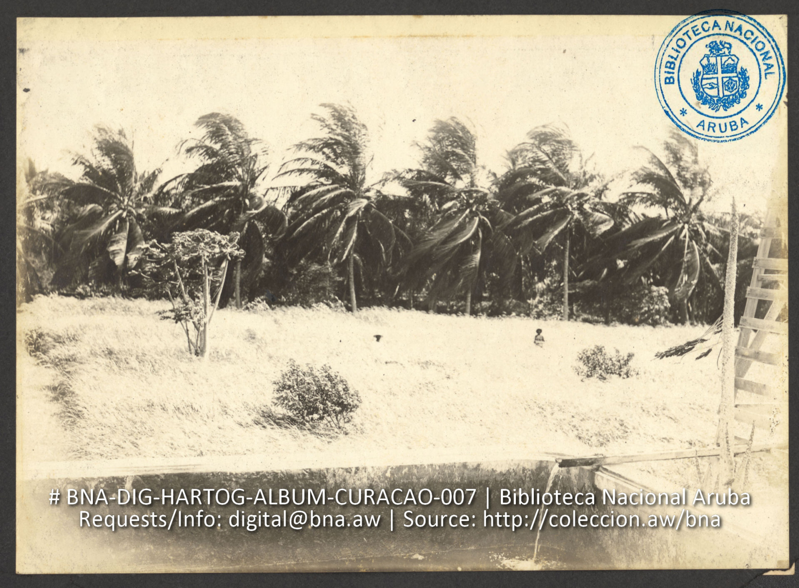 Plantage. Foto Soublette et Fils, Curaçao (ca. 1900-1920) - - Coleccion ...
