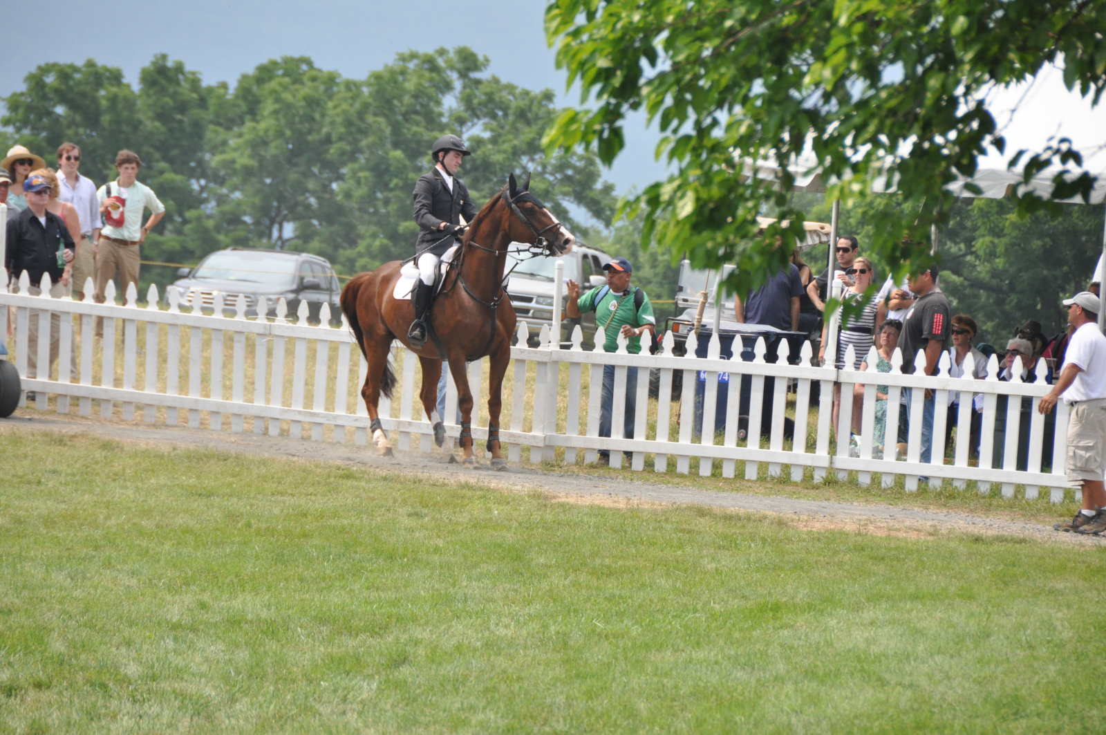 Conor O'Regan and Horse, Solarina; 2011 - - Coleccion Aruba